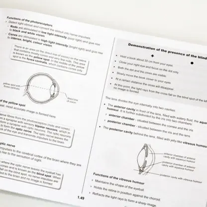 Grade 12 Life Sciences 3-in-1 Part 1 CAPS - The Answer Series