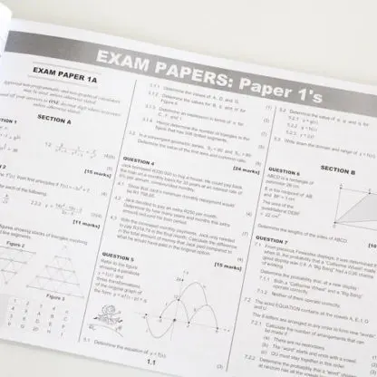 Grade 12 Mathematics Papers & Answers - The Answer Series