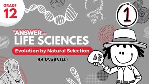 Life & Natural Sciences Community - The Answer Series